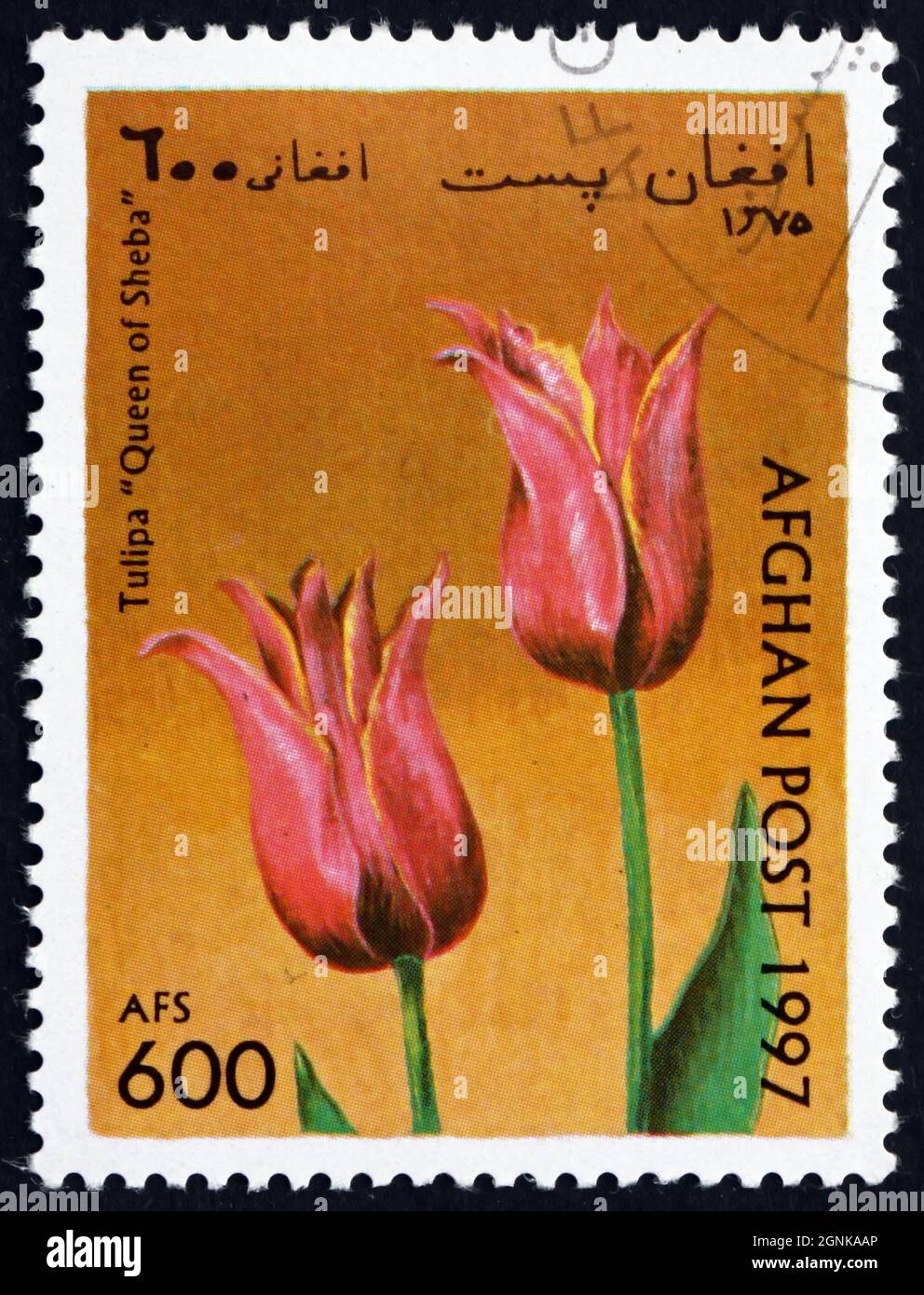 AFGHANISTAN - CIRCA 1997: a stamp printed in Afghanistan shows Tulip ...
