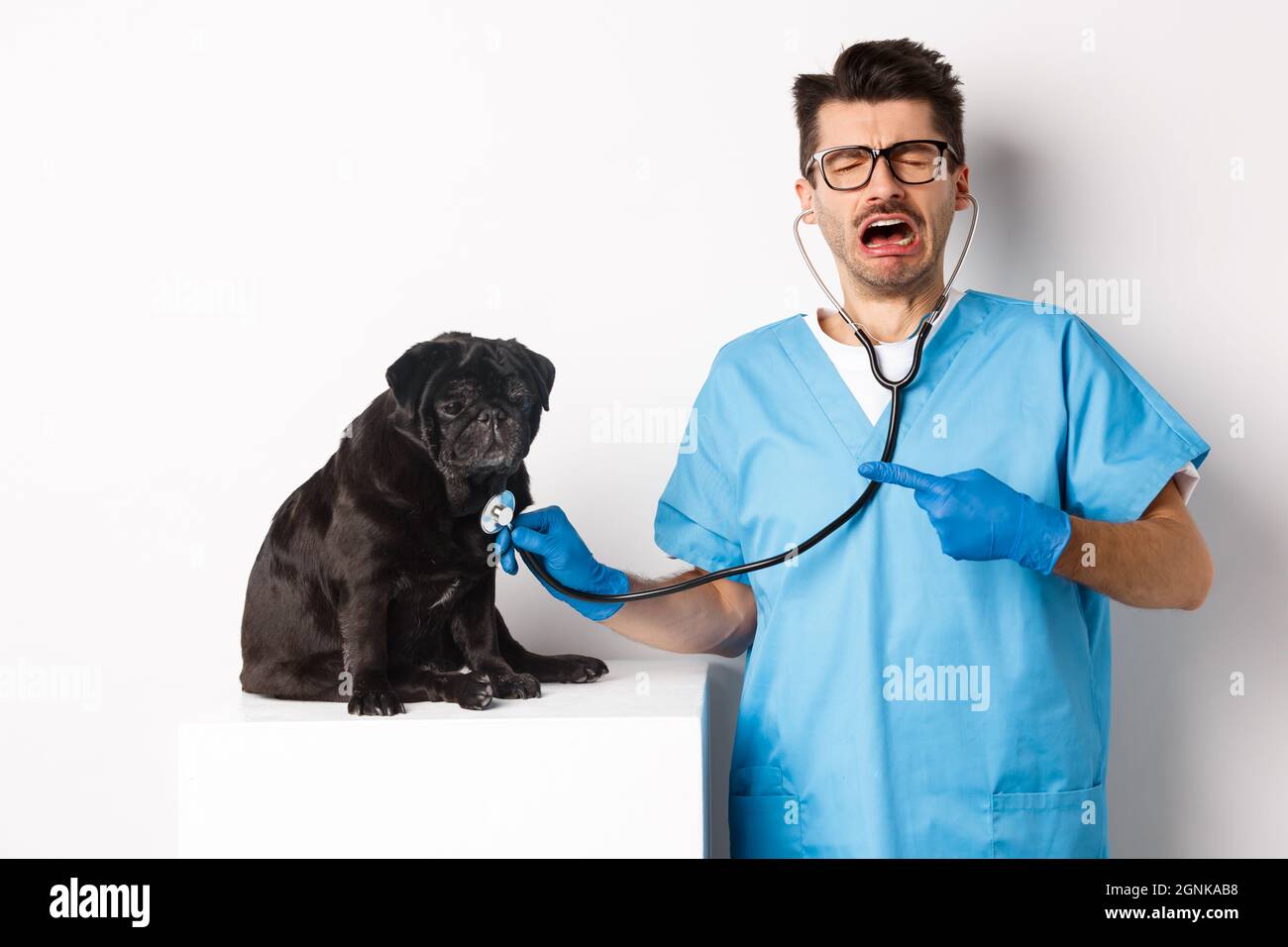 Sad male vet doctor examining cute little dog pug with stethoscope ...