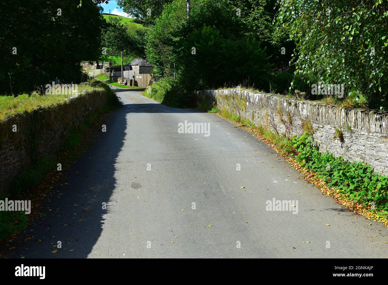 Narrow country roads cornwall hi-res stock photography and images - Alamy