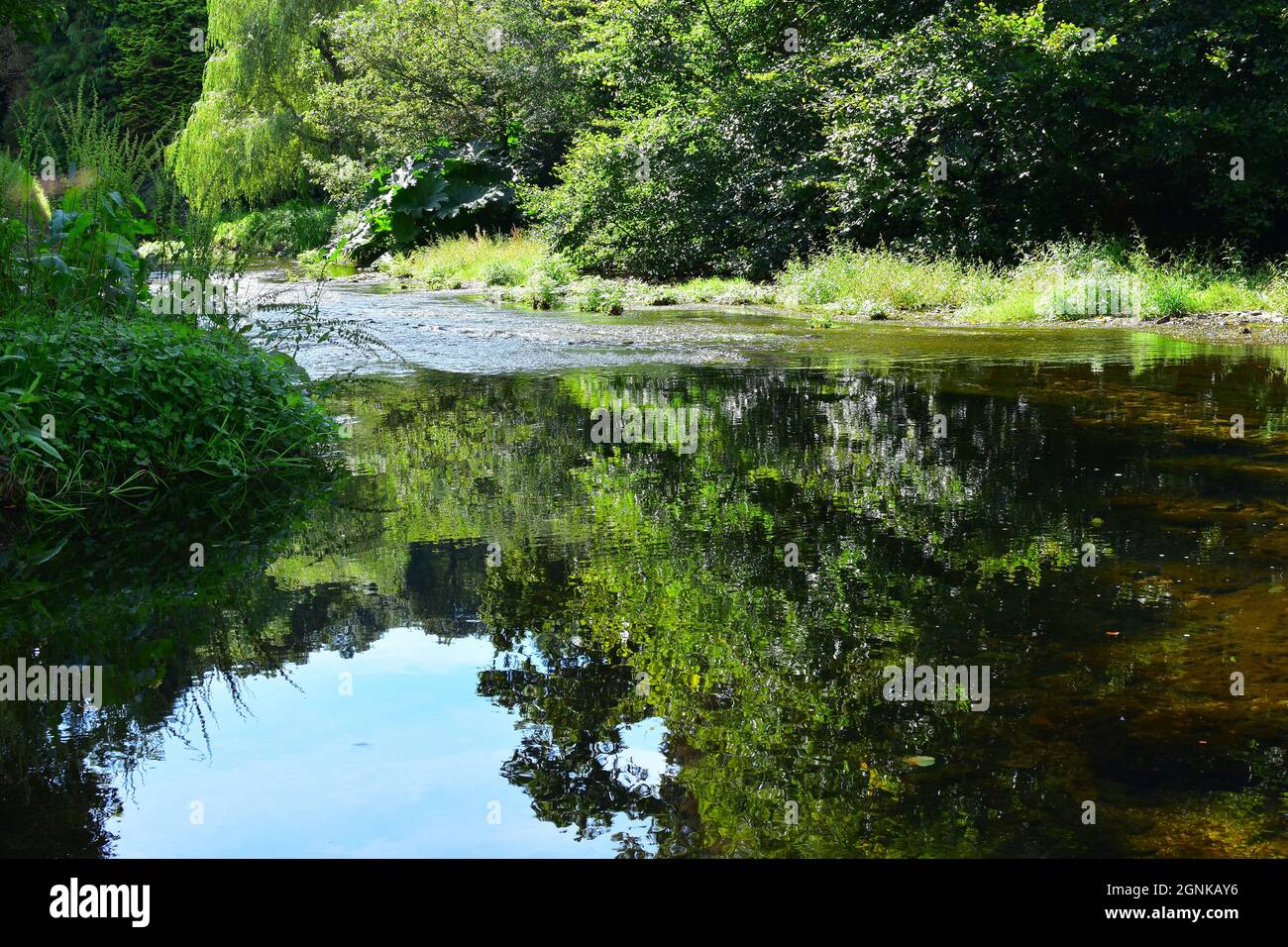 River Lynher, Bathpool Cornwall, England UK Stock Photo - Alamy