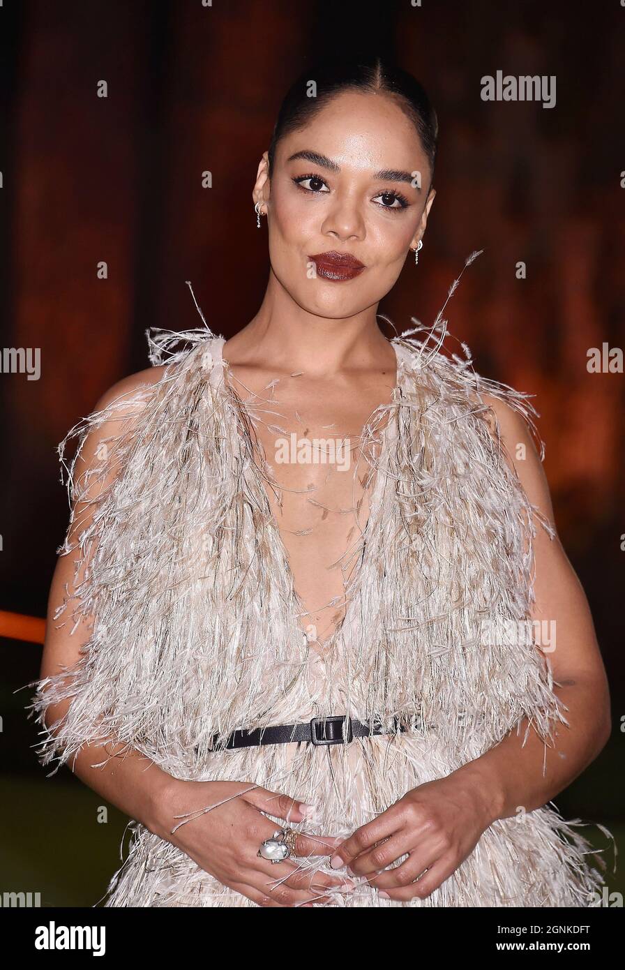 LOS ANGELES, CA - SEPTEMBER 25: Tessa Thompson attends The Academy ...