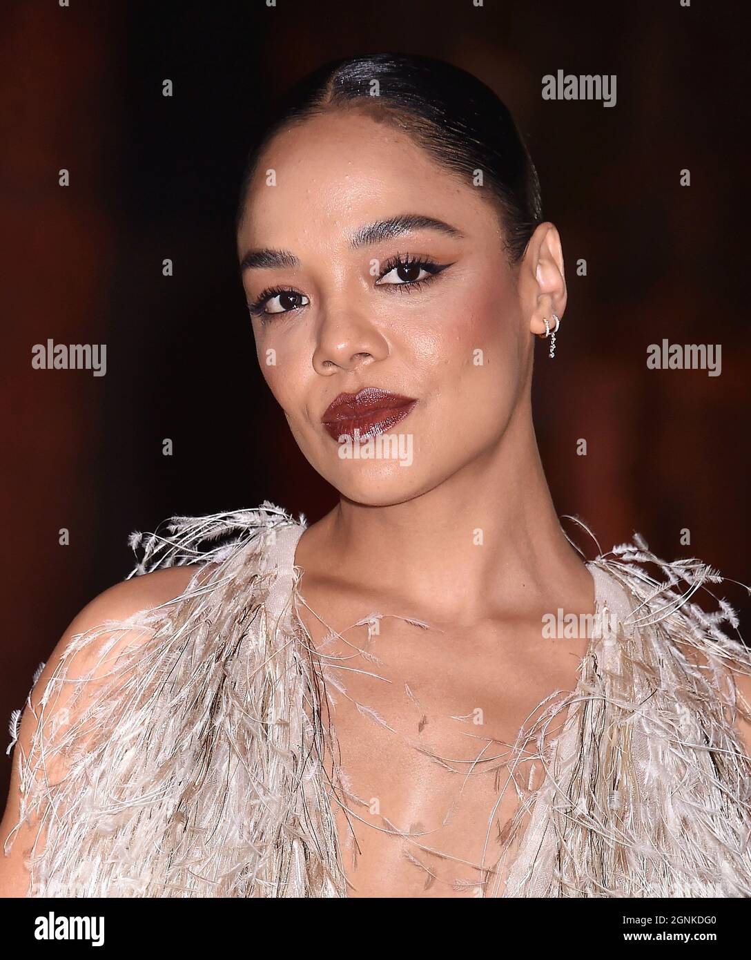 LOS ANGELES, CA - SEPTEMBER 25: Tessa Thompson attends The Academy ...