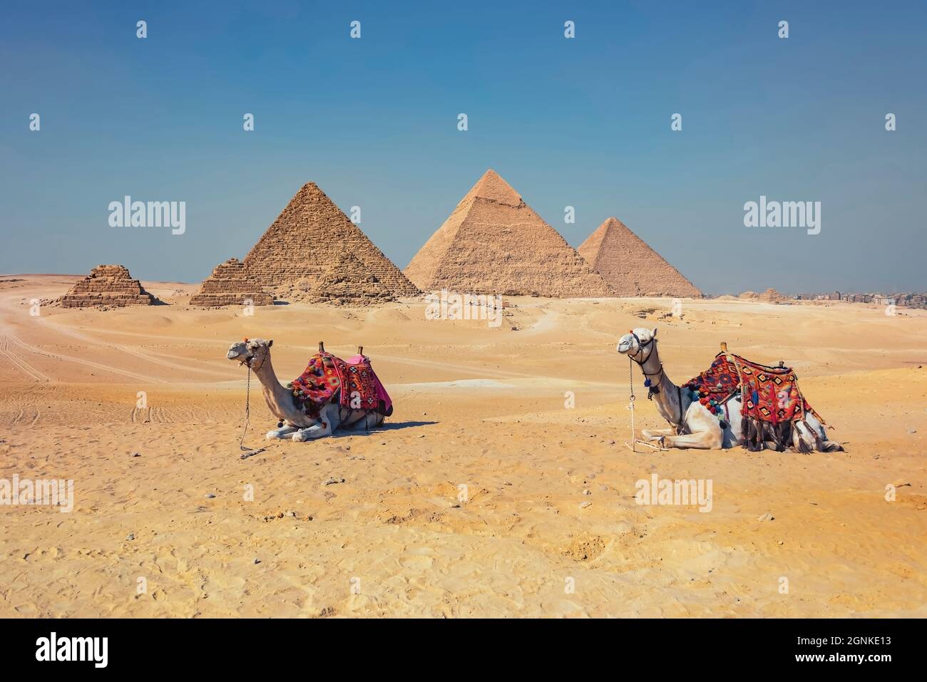 Pyramids in cairo hi-res stock photography and images - Alamy