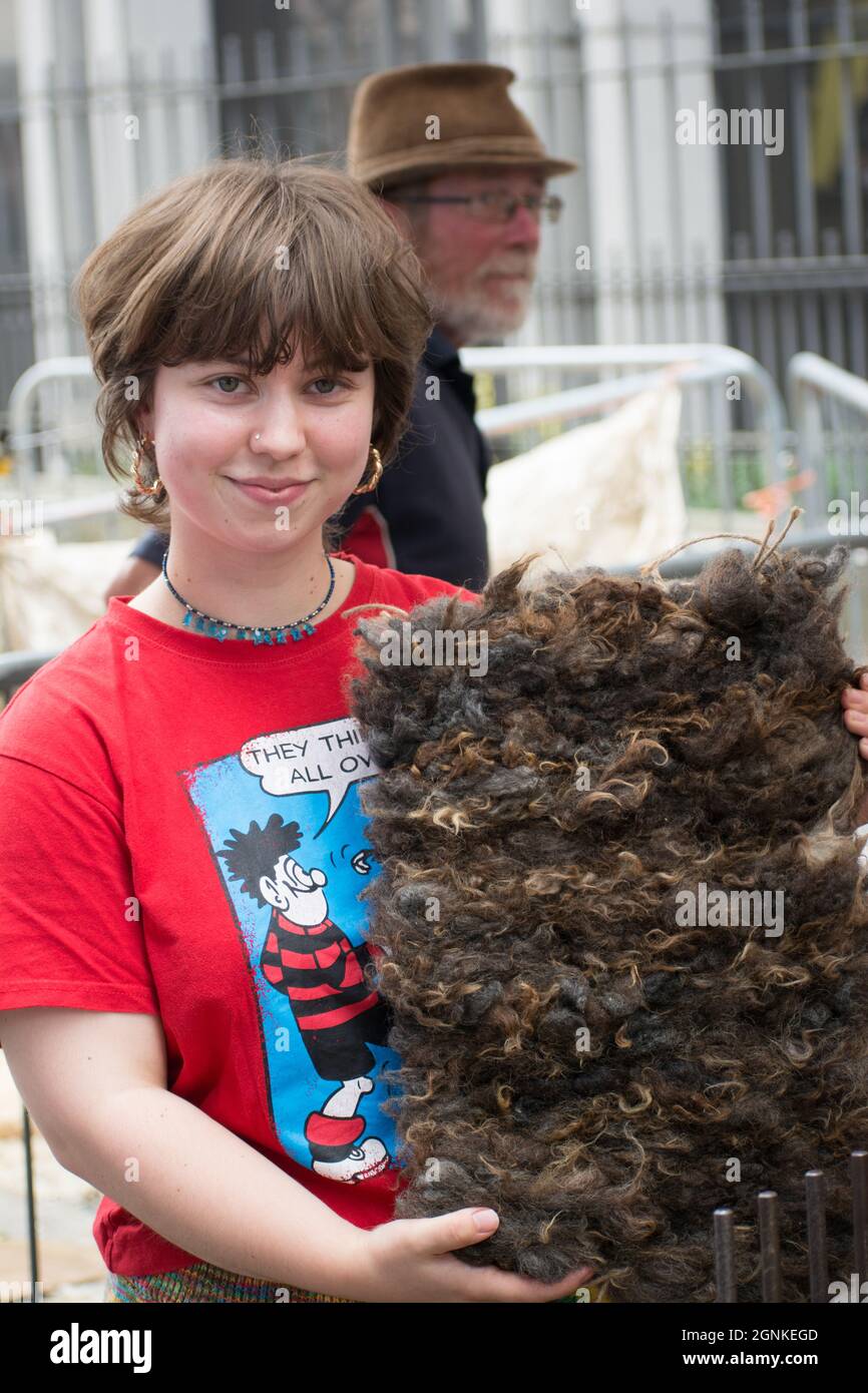 The annually Sheep Drive over the River Thames 2021 at Southwark bridge ...