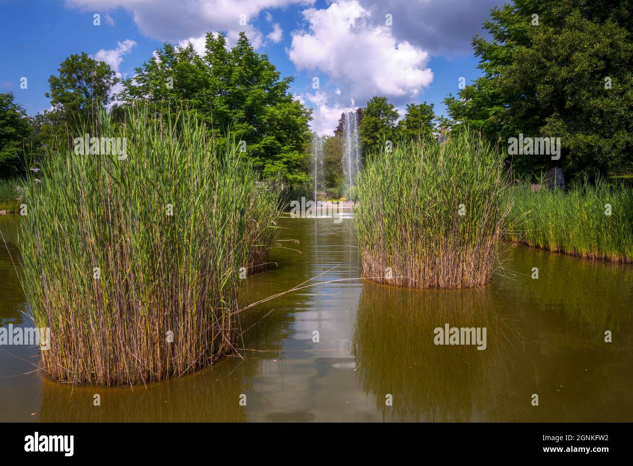 Lake in a park in Beilngries (Bavaria, Germany Stock Photo - Alamy