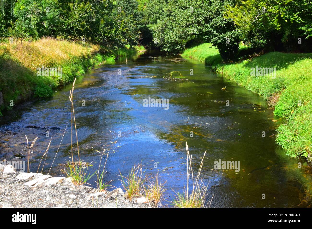 River Lynher, Bathpool Cornwall, England UK Stock Photo - Alamy