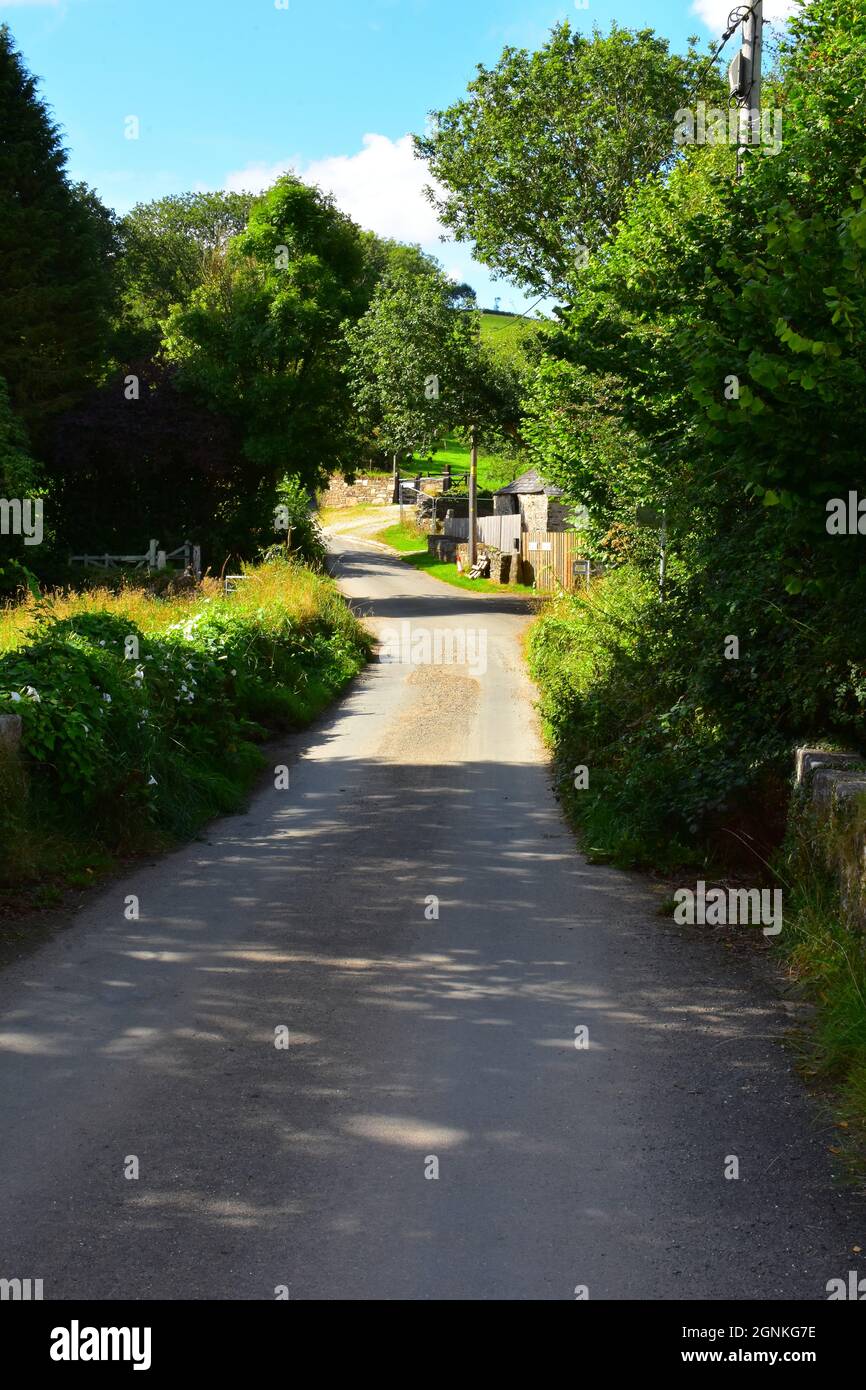 River Lynher, Bathpool Cornwall, England UK Stock Photo - Alamy