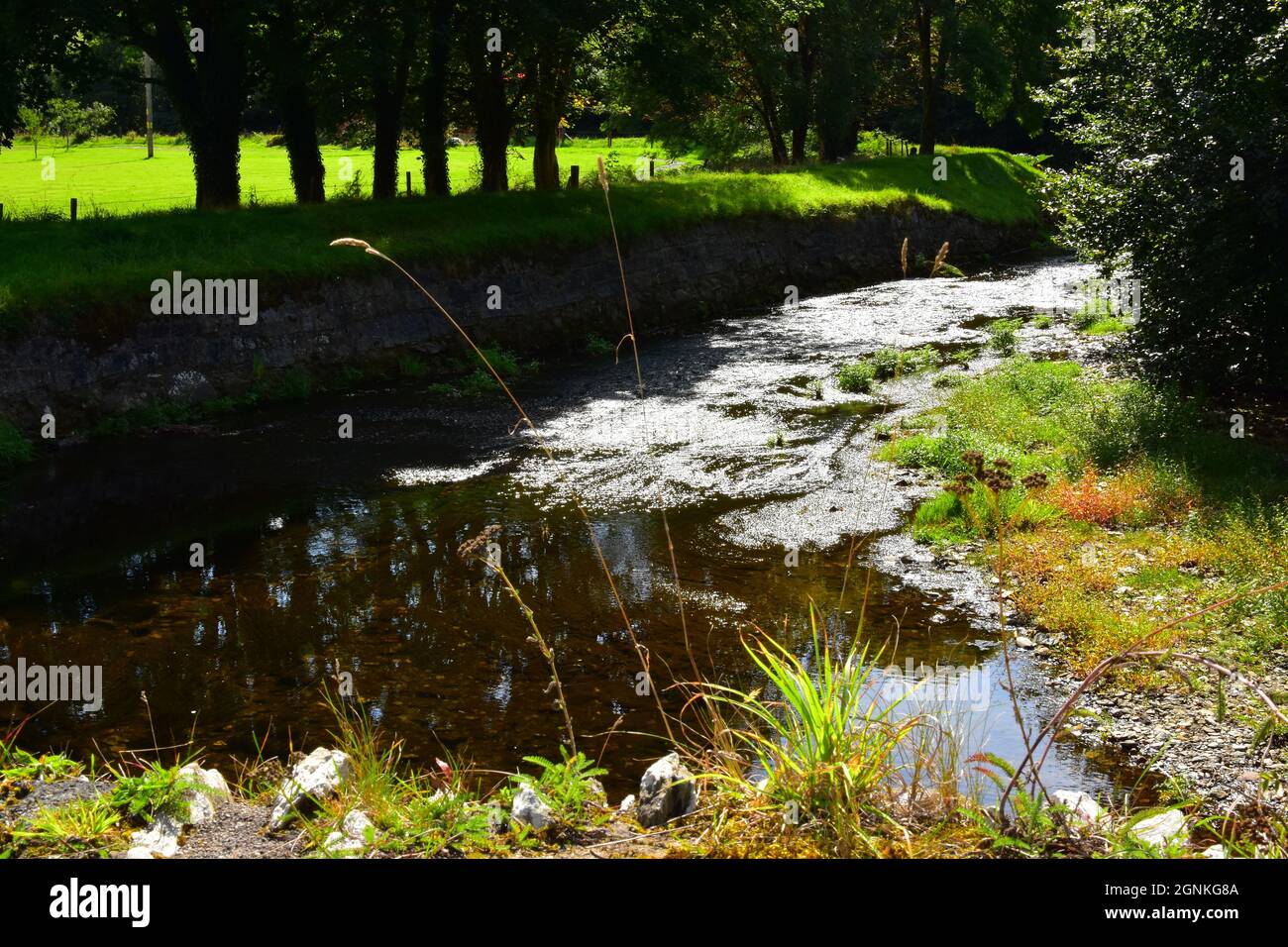 Lynher river hi-res stock photography and images - Alamy