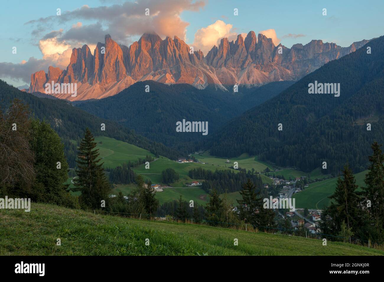 Ranui High Resolution Stock Photography and Images - Alamy