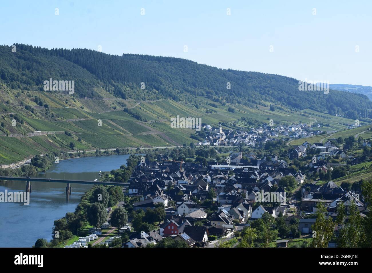 Mosel valley with village Reil Stock Photo - Alamy