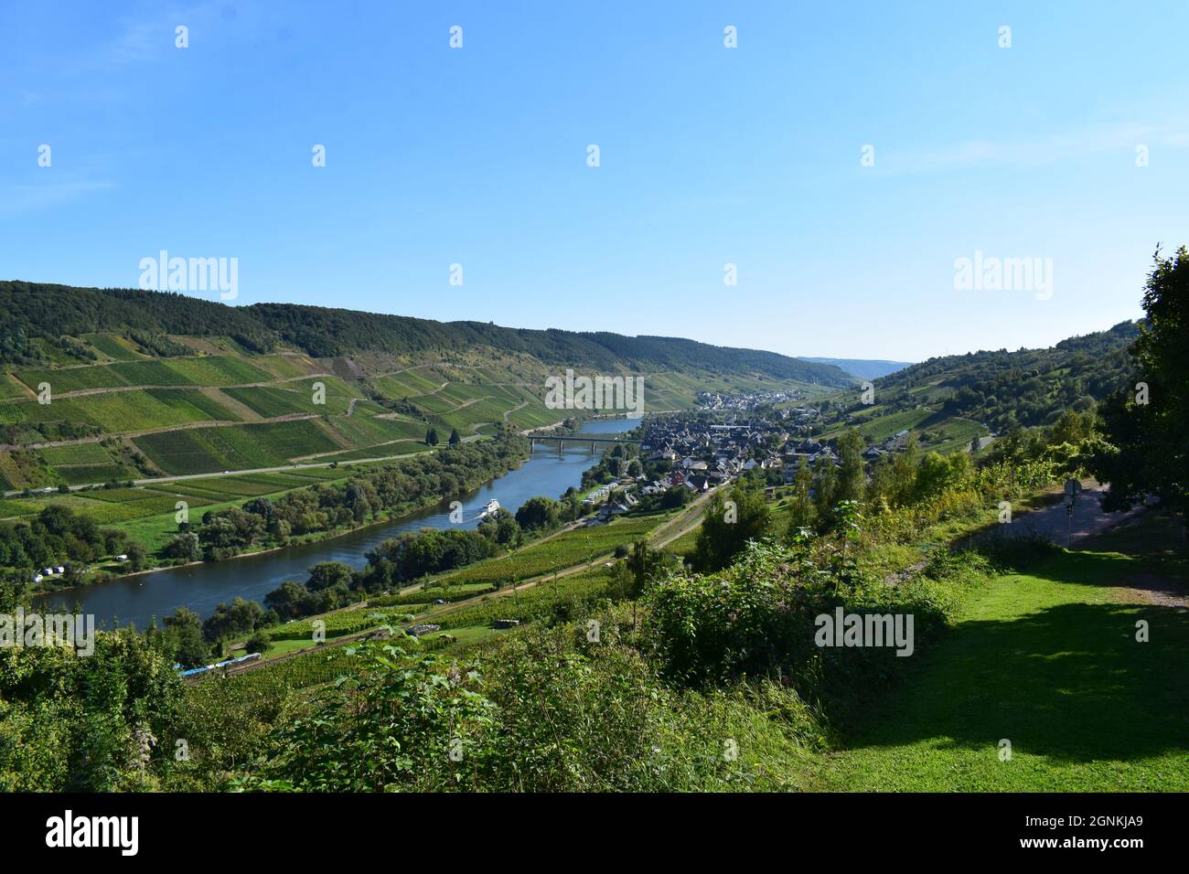 Mosel valley with village Reil Stock Photo - Alamy