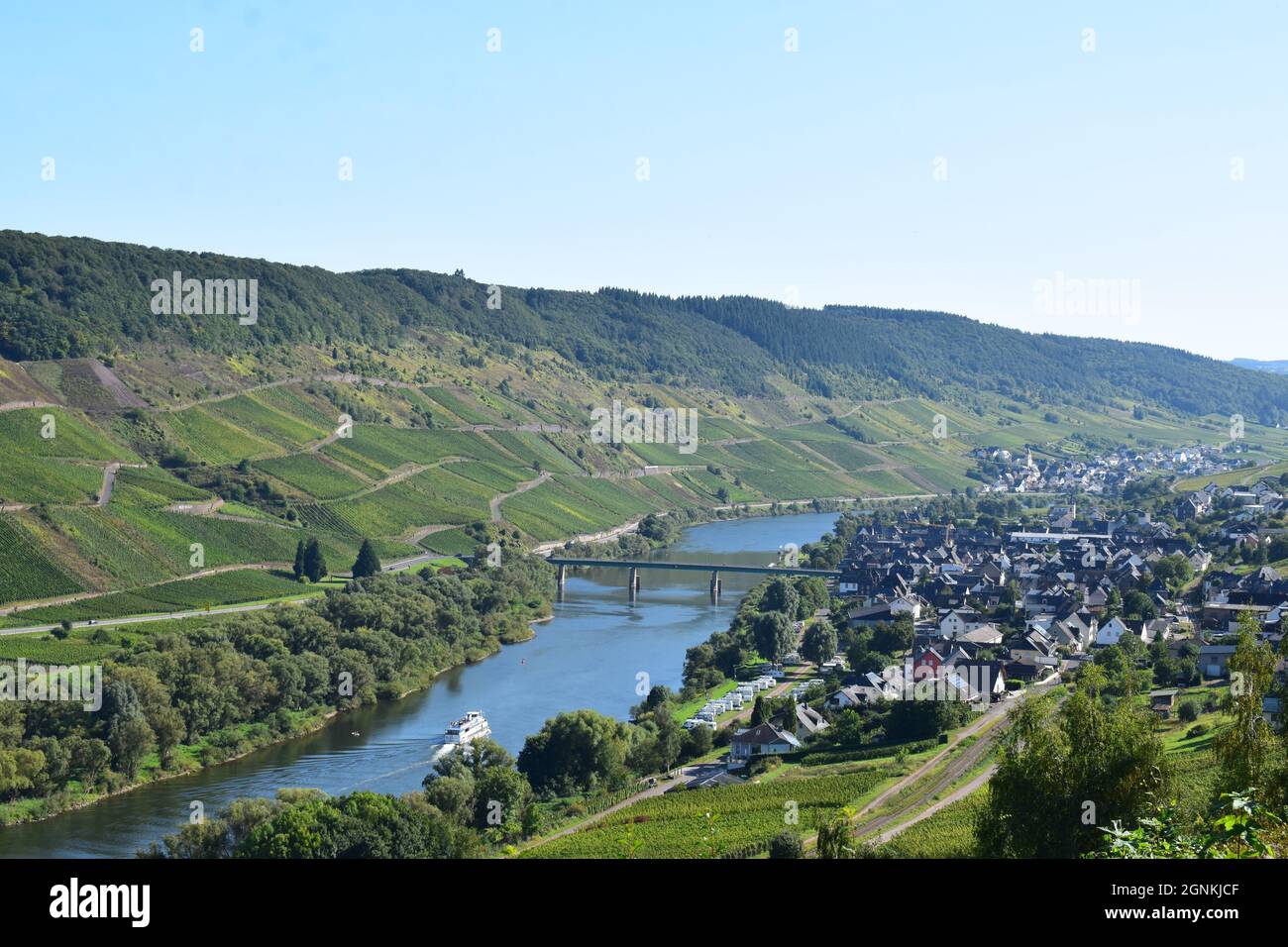 Mosel valley with village Reil Stock Photo - Alamy
