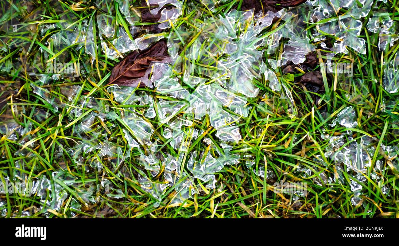 Glittering pieces of ice on the green grass. Spring background with ...