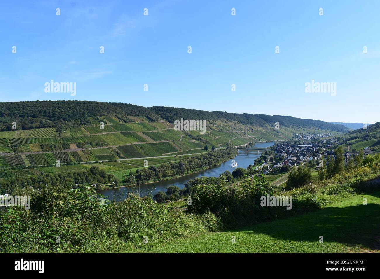 Mosel valley with village Reil Stock Photo - Alamy