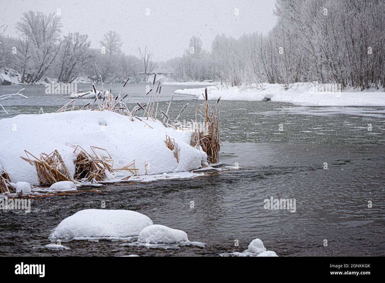 A landscape of a frozen pond surrounded by trees covered in the snow in ...