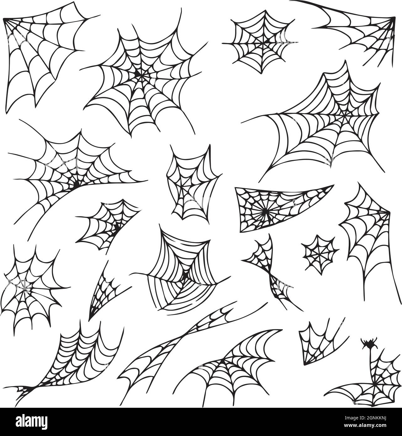 Build a spider web element for the holiday Halloween - Vector ...
