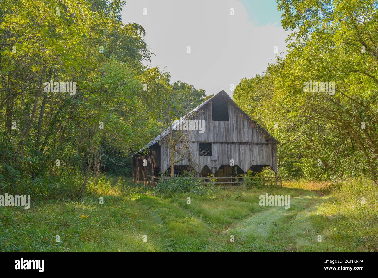 Old rundown barn in the wilderness of the mountains in Missouri Stock ...