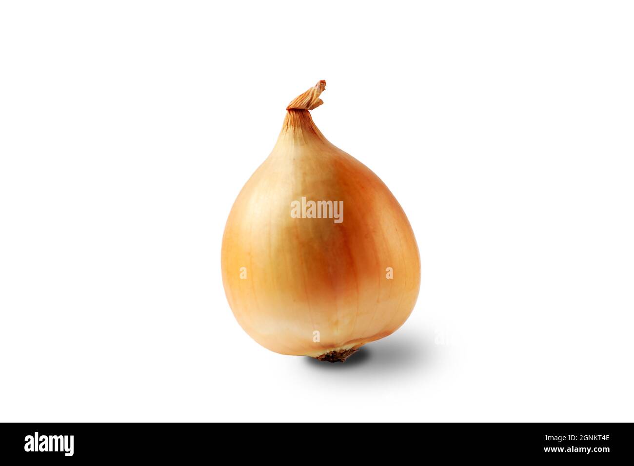 Fresh onion bulbs isolated on white background Stock Photo - Alamy