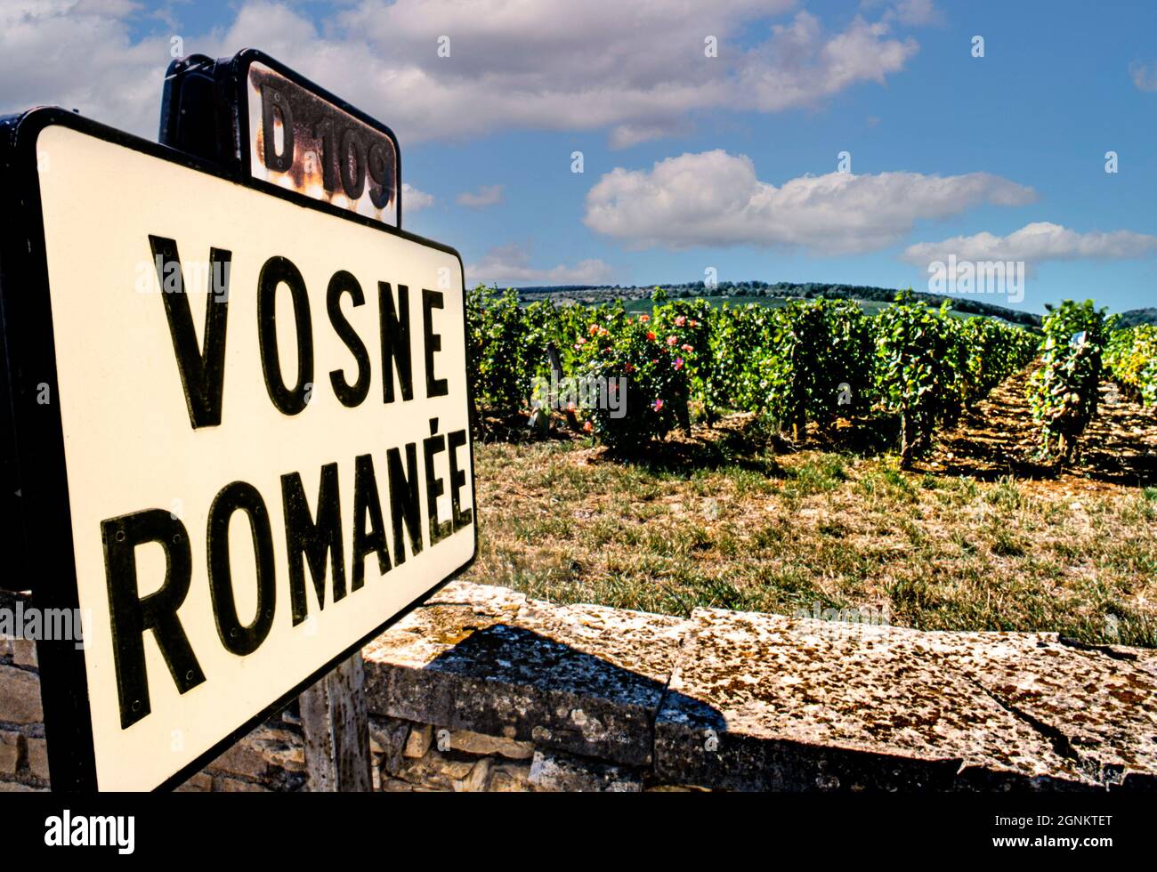 Vosne Romanée Village Road sign and vineyard at entrance to Vosne ...