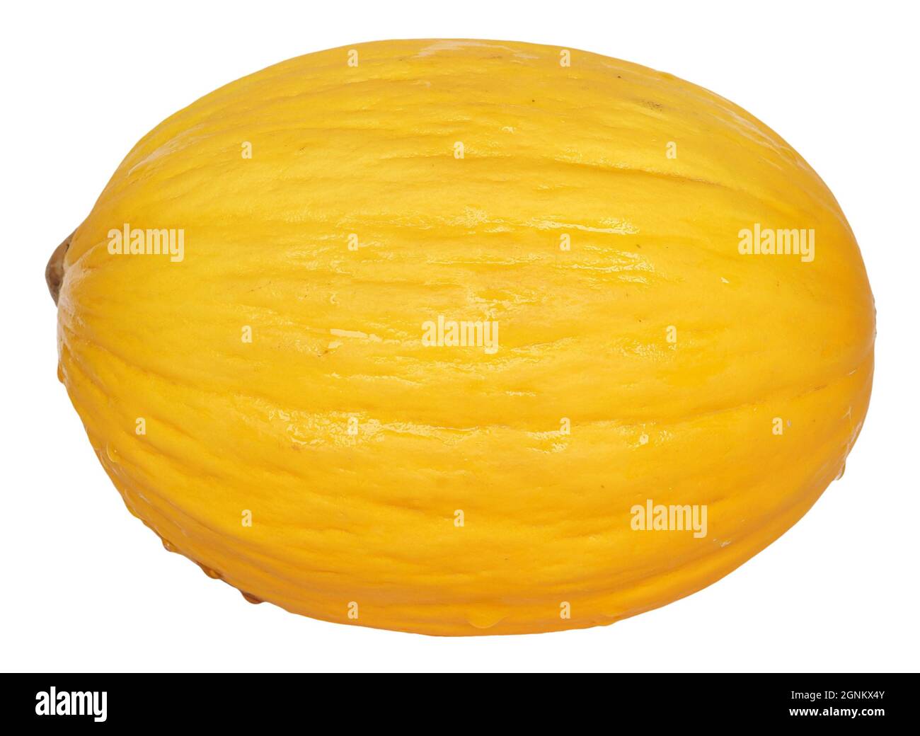 yellow Canary melon isolated over white background Stock Photo - Alamy