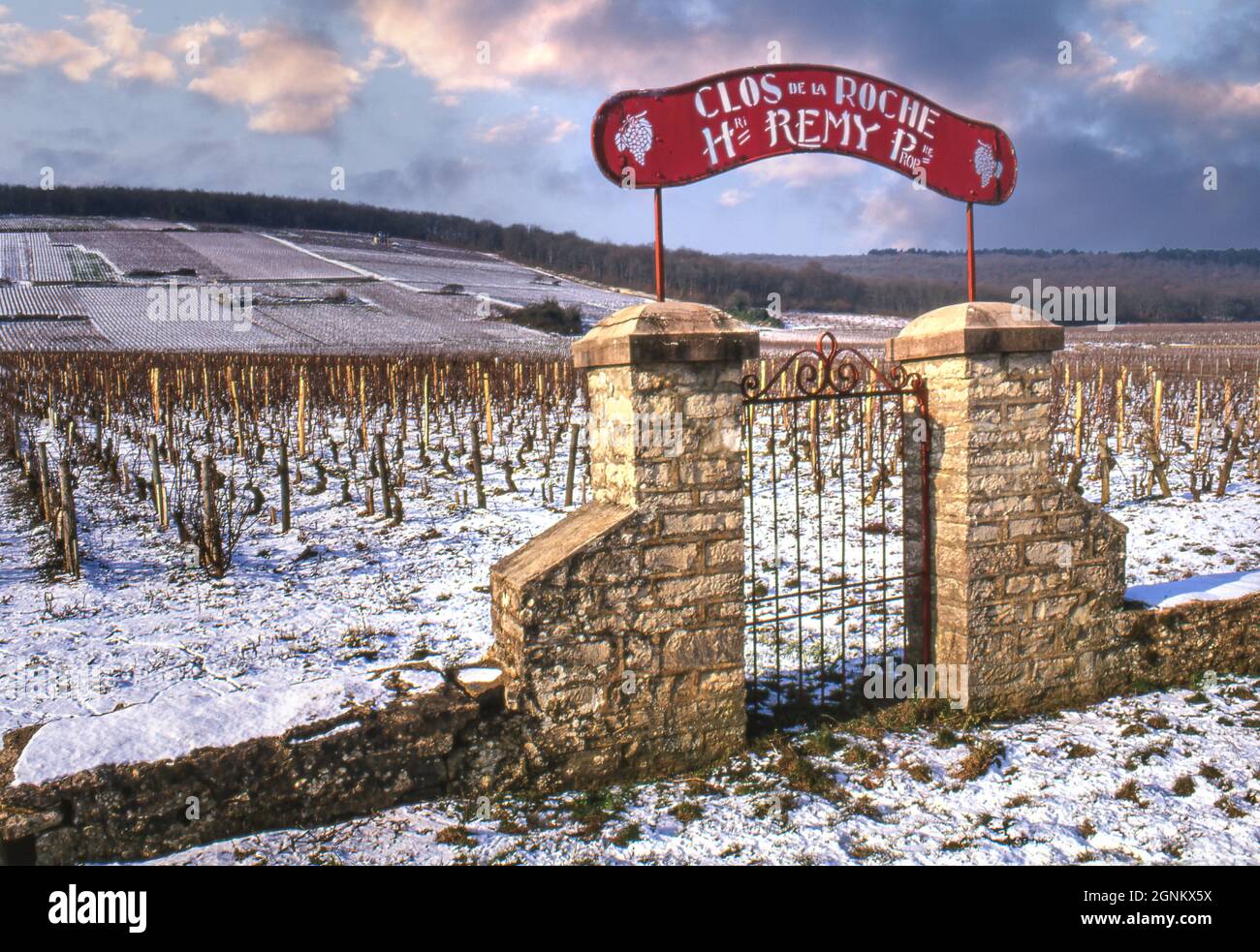 Clos de la roche hi-res stock photography and images - Alamy
