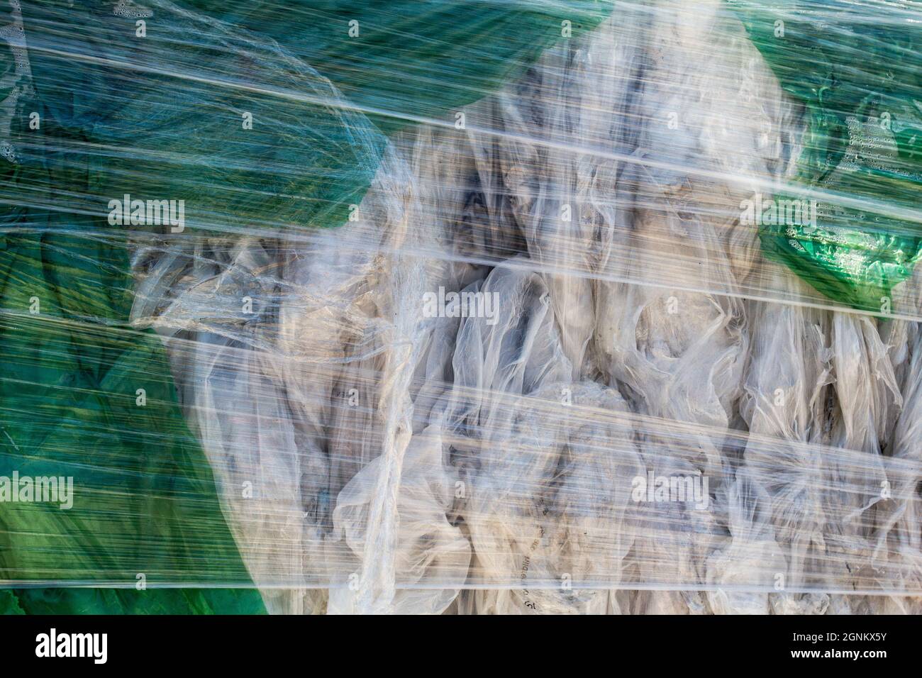 Plastic bags and other trash behind a big box chain store Stock Photo ...