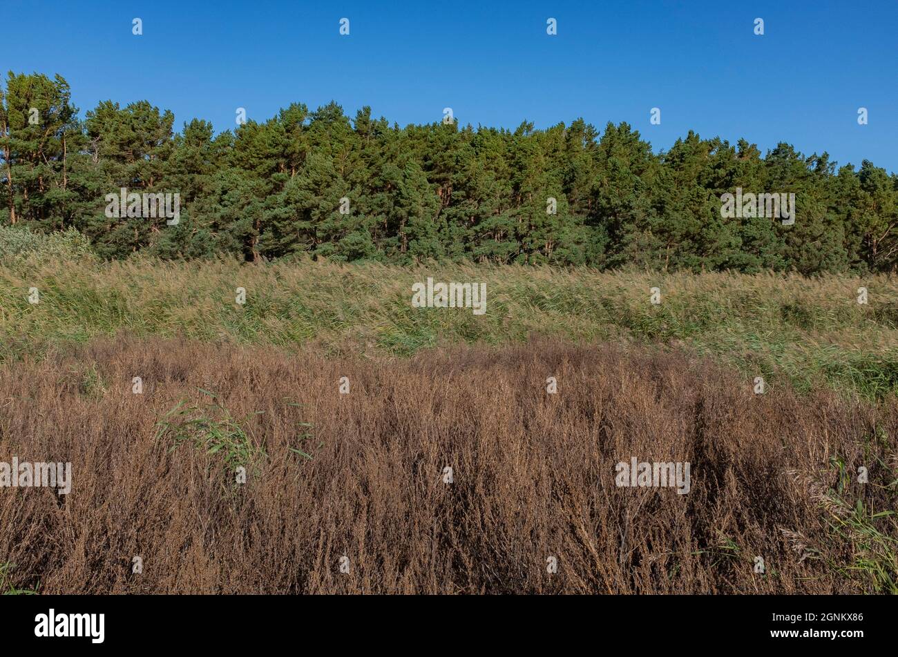 Kihnu Island, Baltic Sea, Estonia Stock Photo - Alamy