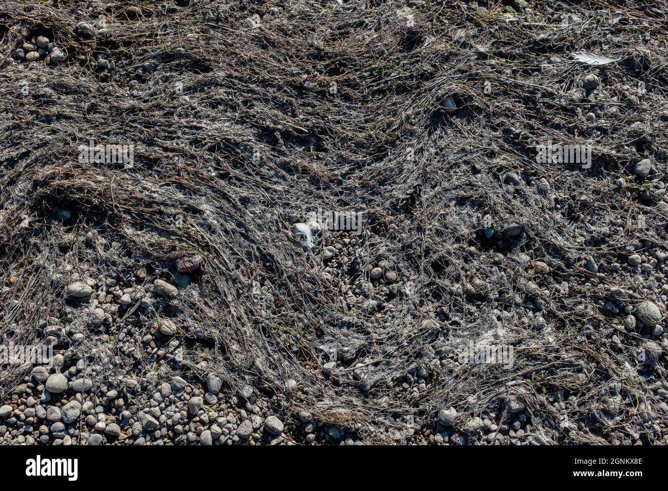 Kihnu Island, Baltic Sea, Estonia Stock Photo - Alamy