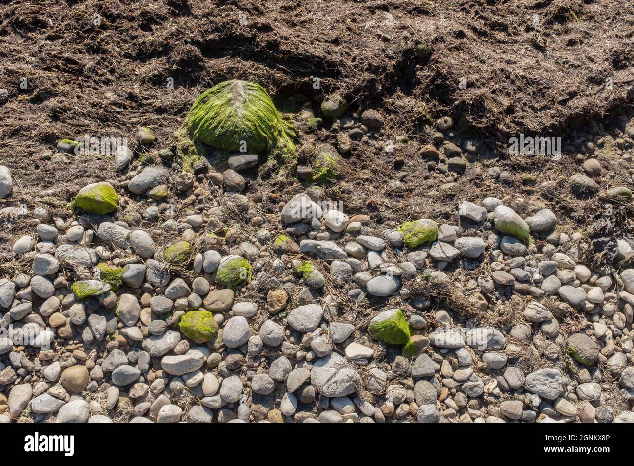 Kihnu Island, Baltic Sea, Estonia Stock Photo - Alamy
