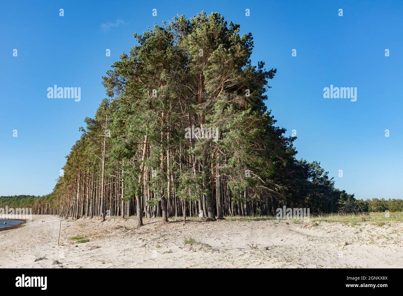 Kihnu Island, Baltic Sea, Estonia Stock Photo - Alamy