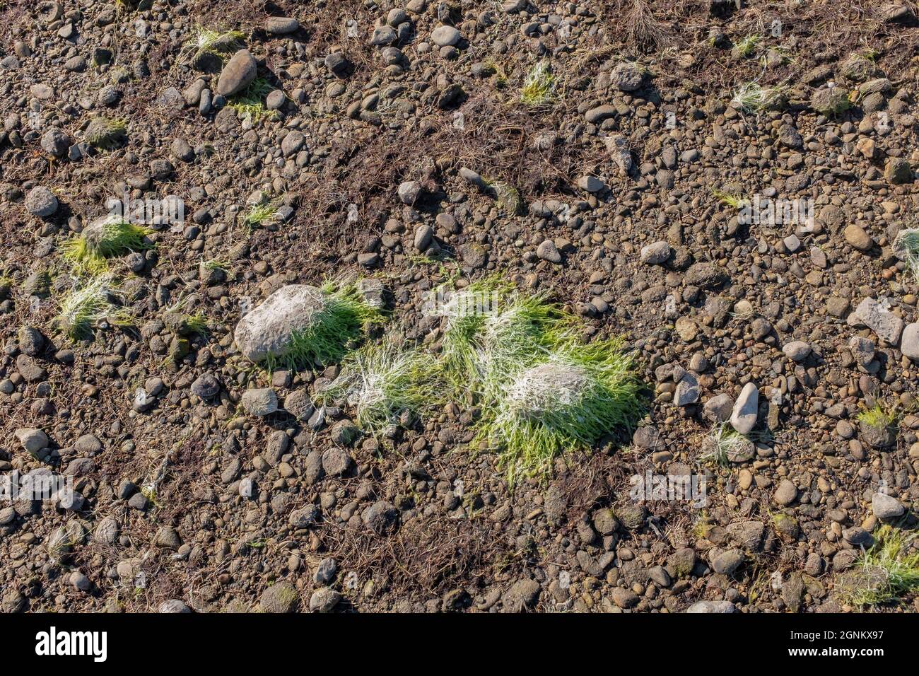 Kihnu Island, Baltic Sea, Estonia Stock Photo - Alamy