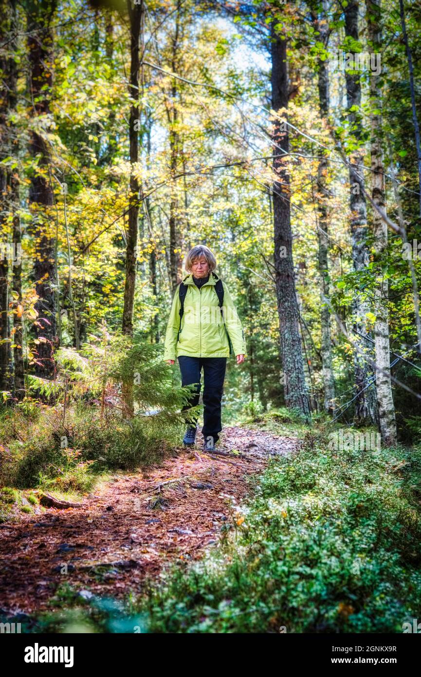 Middle aged woman enjoying a walk in the the forest a beautiful day in ...