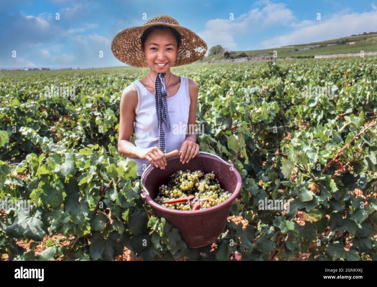 Oriental grape picker hi-res stock photography and images - Alamy