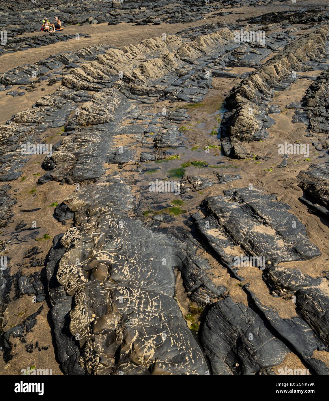 Rocky shore with layered sedimentary rock formations and tide pools at ...