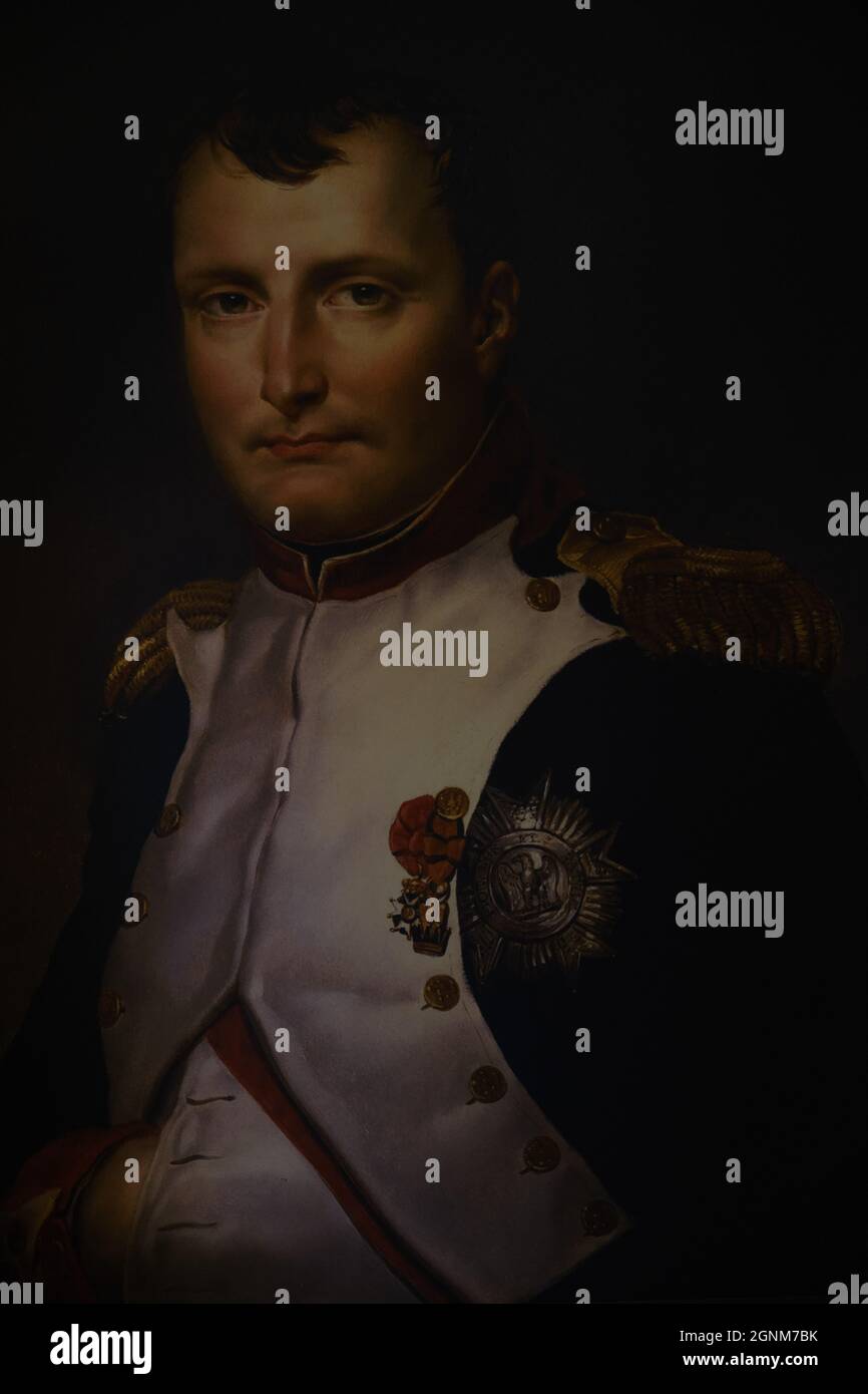 Napoleon bonaparte in military uniform hi-res stock photography and ...