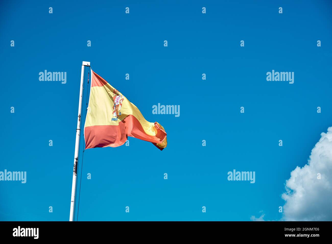 Spain Flag Vertical