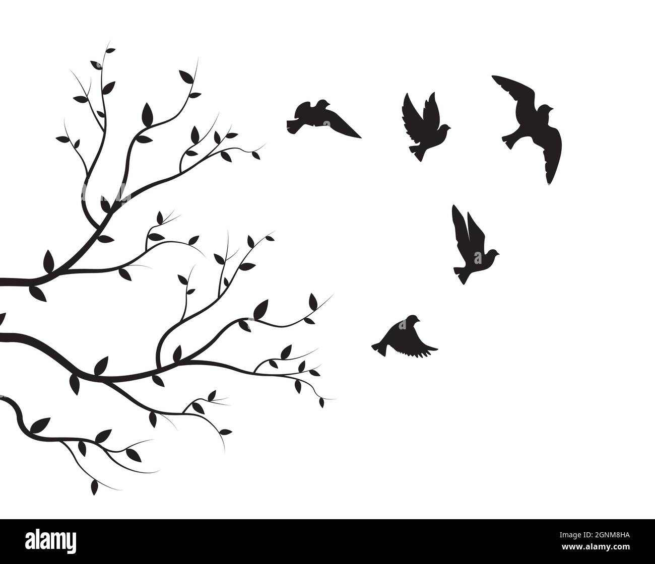 Flying birds silhouettes and branch illustration isolated on white ...