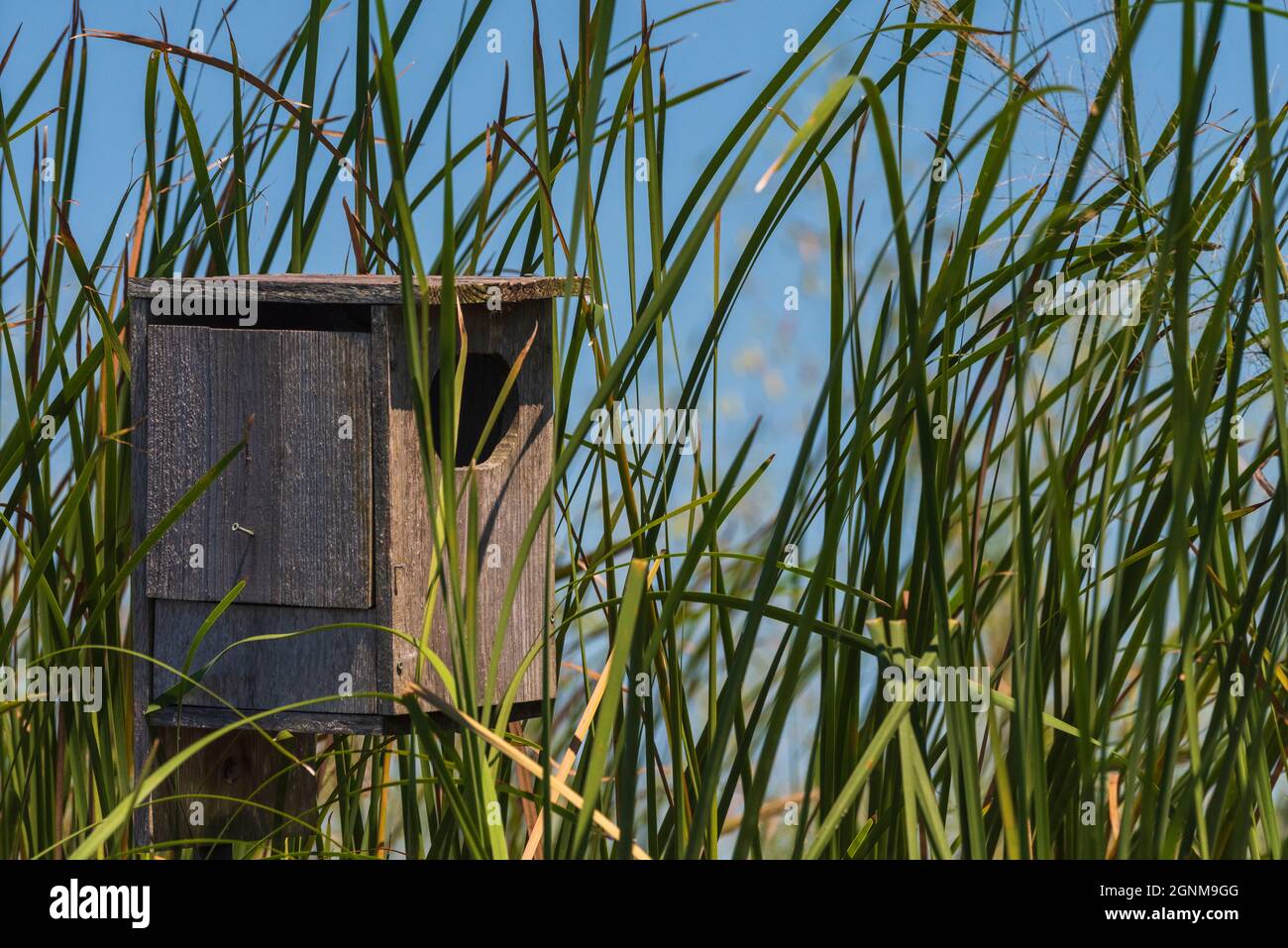 A wooden birdhouse stands on a post near the Five Rivers Delta Center ...