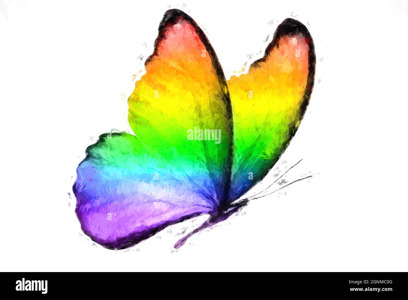 beautiful multicolor butterfly isolated on white background Stock Photo ...
