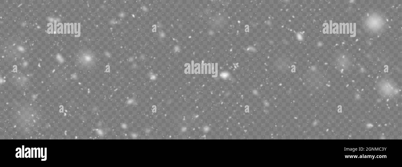 Vector snowfall isolated. Winter background. Snow overlay illustration ...