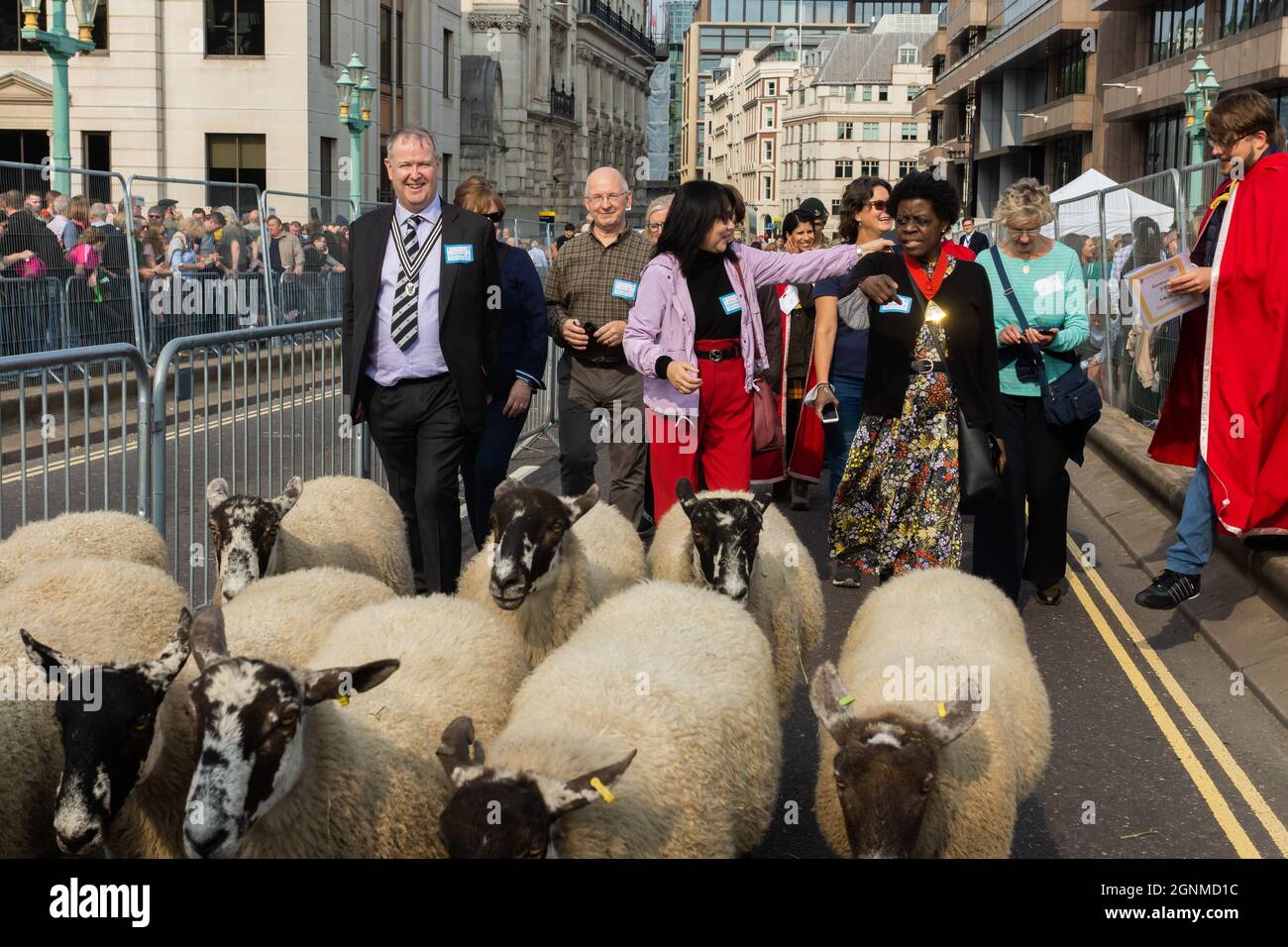 London, UK. 26th Sep, 2021. 2021 Annual Sheep Drive. City of London. In ...