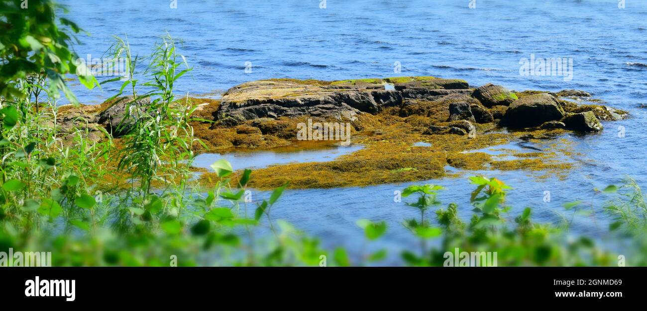 Cove in the Bay of Islands, Summerside, Newfoundland Stock Photo - Alamy