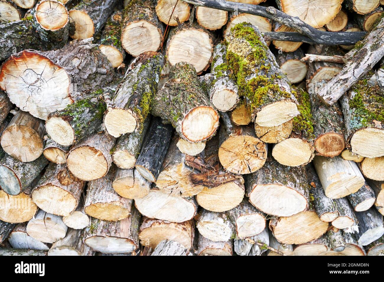 Wood chop stove. Woodpile texture background. Trees store. Hardwood ...