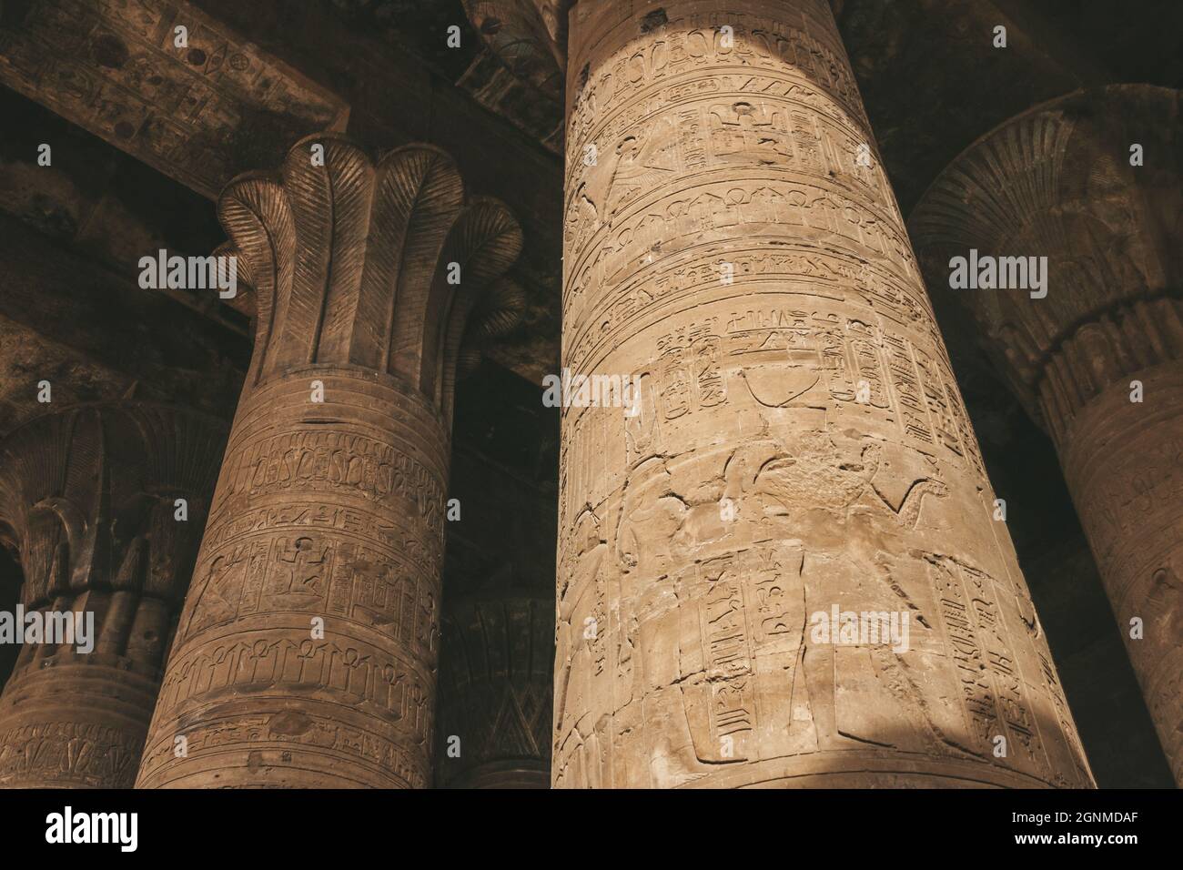 The ruins of the ancient temple of Horus in Edfu, Egypt Stock Photo - Alamy