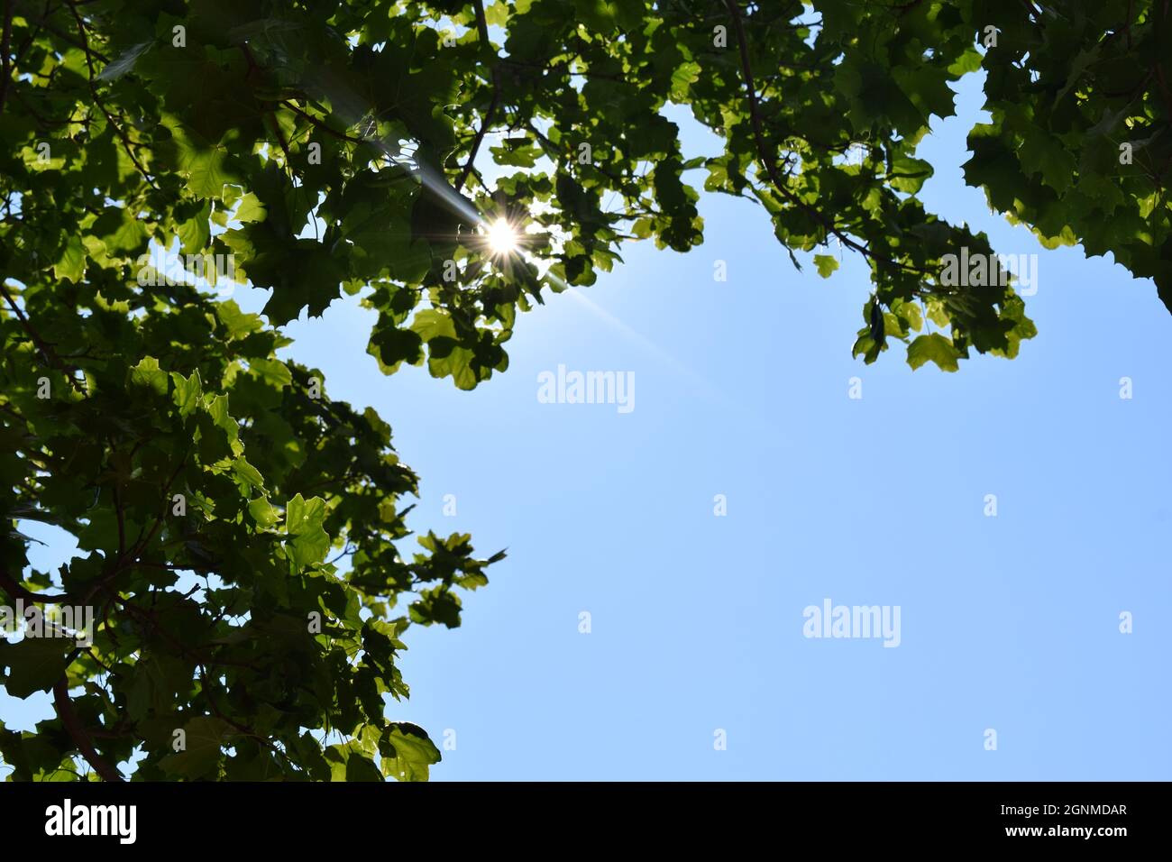 Structure of sun hi-res stock photography and images - Alamy
