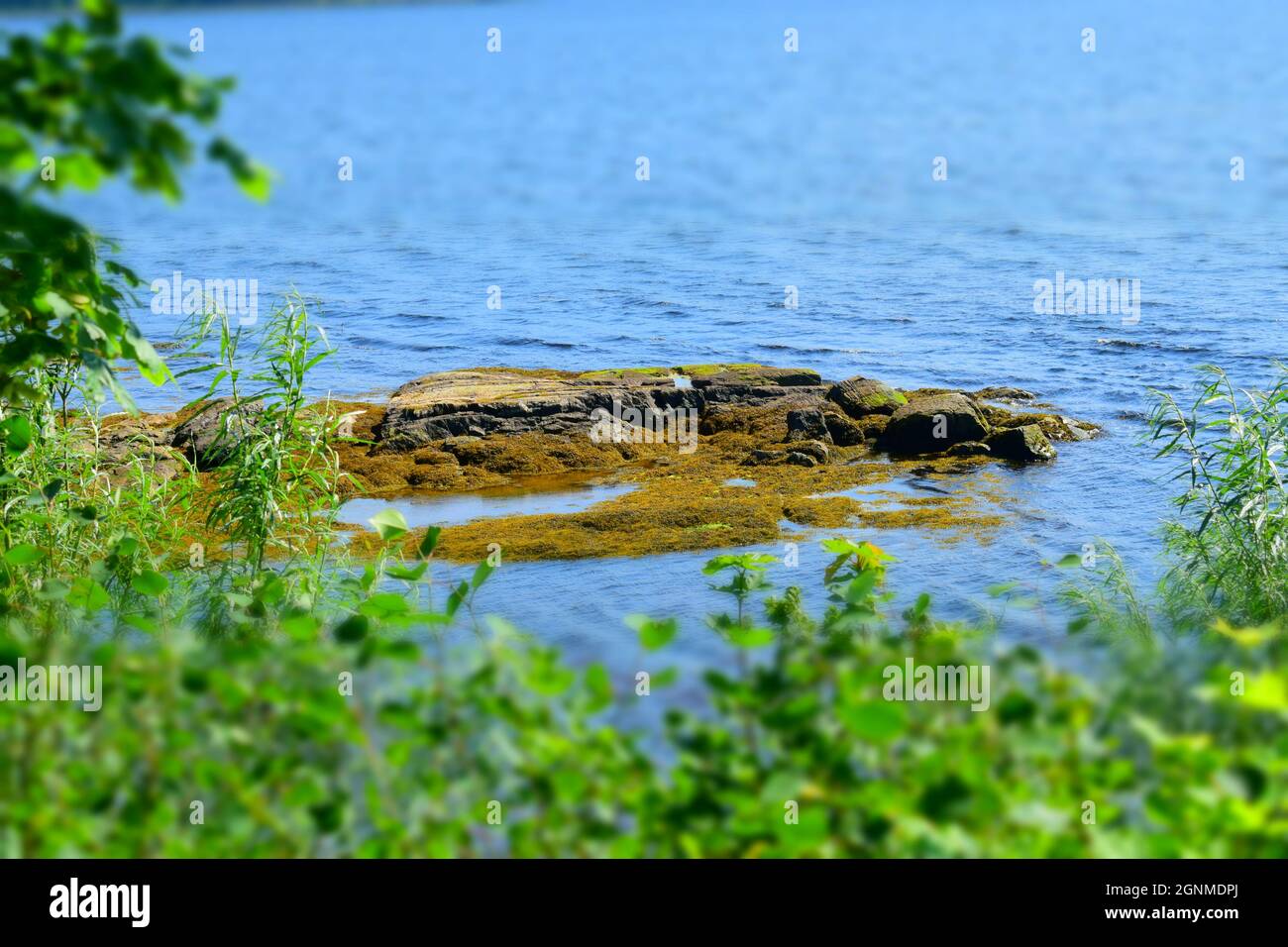 Low tide in Summerside Newfoundland Stock Photo - Alamy