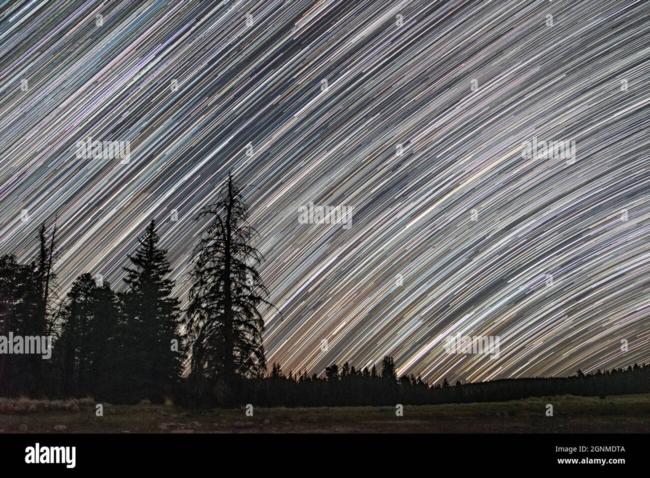 Forest Star Trails Stock Photo - Alamy