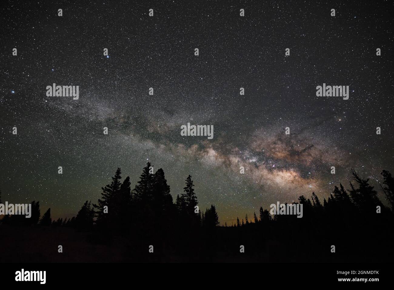 The Milky Way Rising Over the Forest Stock Photo - Alamy