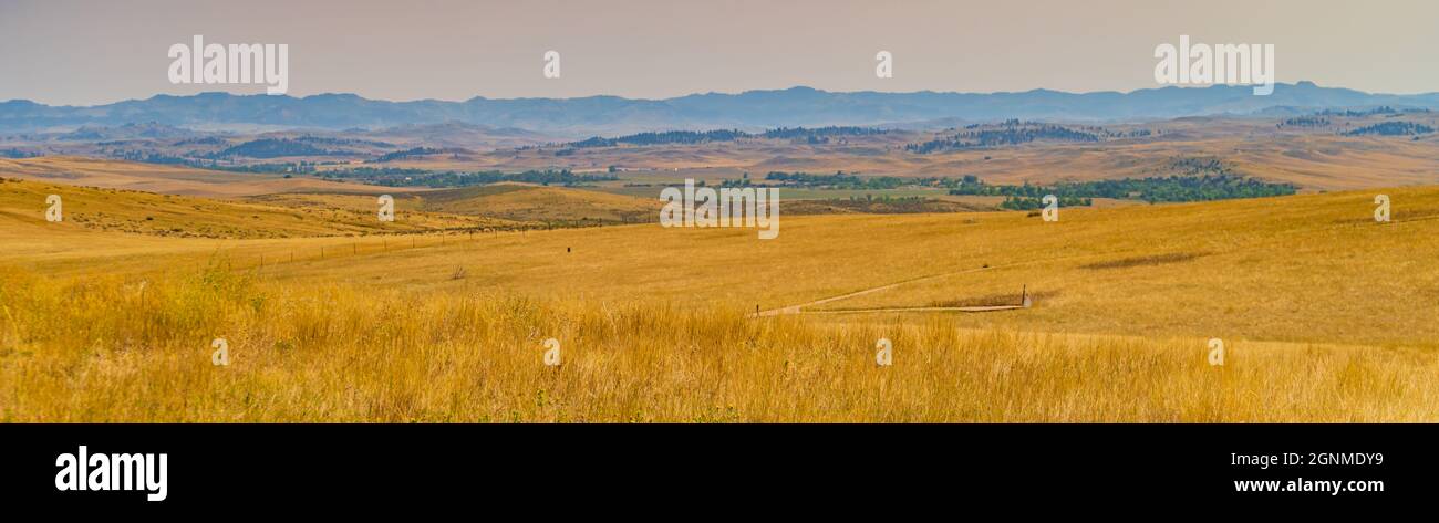 Battle of the little bighorn hi-res stock photography and images - Alamy