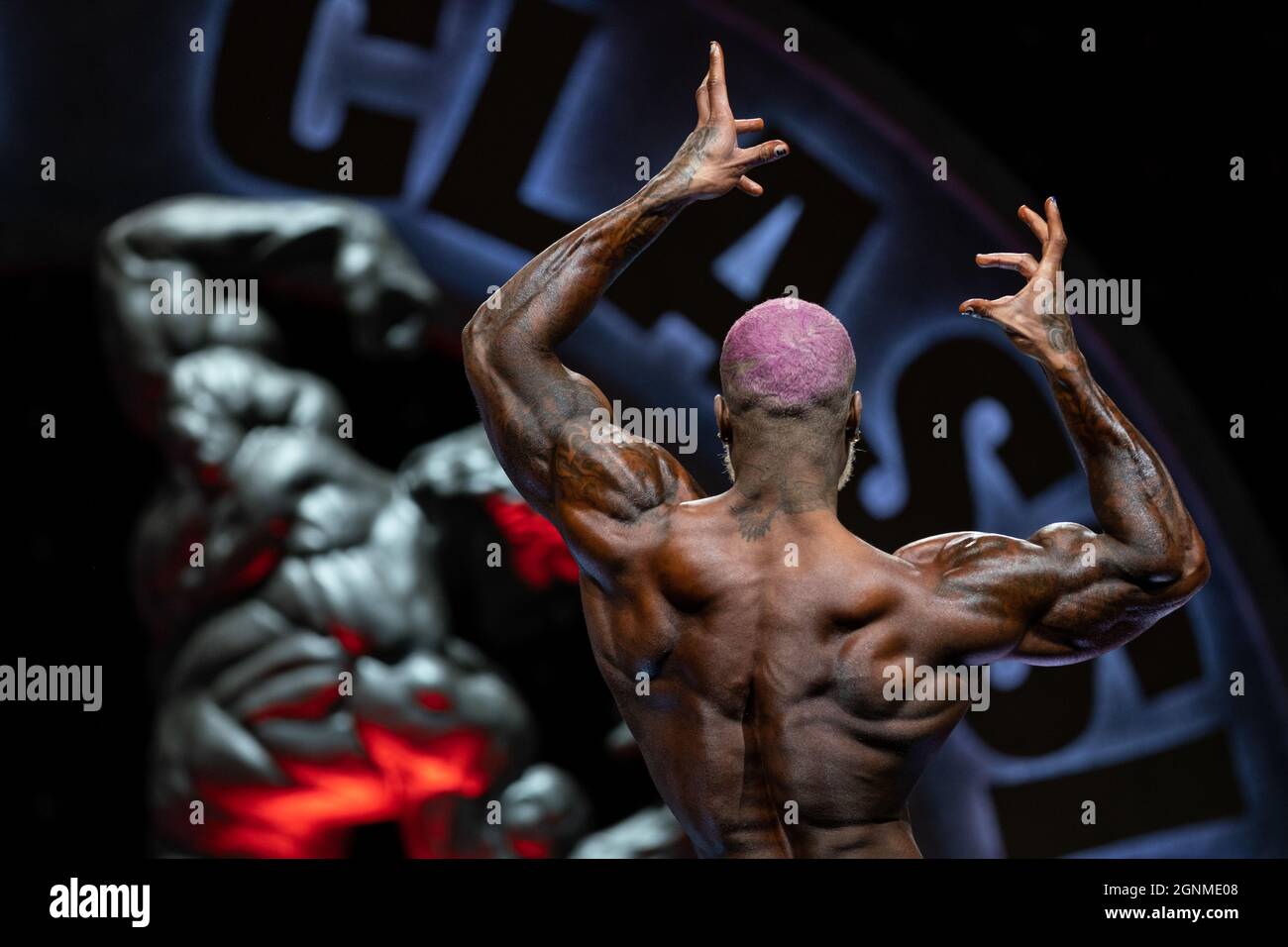Arnold Bodybuilding Back